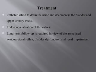Hydrocele and Varicocele- final yr-.pptx