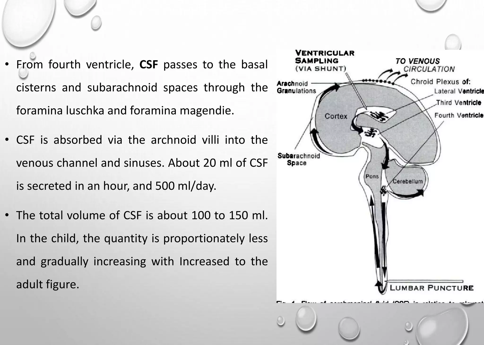 Hydrocephalous with nursing management | PPTX