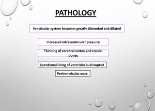 Hydrocephalous with nursing management | PPTX