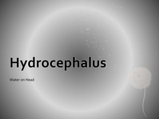 Hydrocephalus | PPT