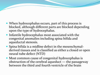 Hydrocephalus | PPTX