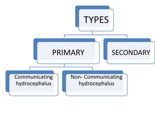 Hydrocephalus | PPTX