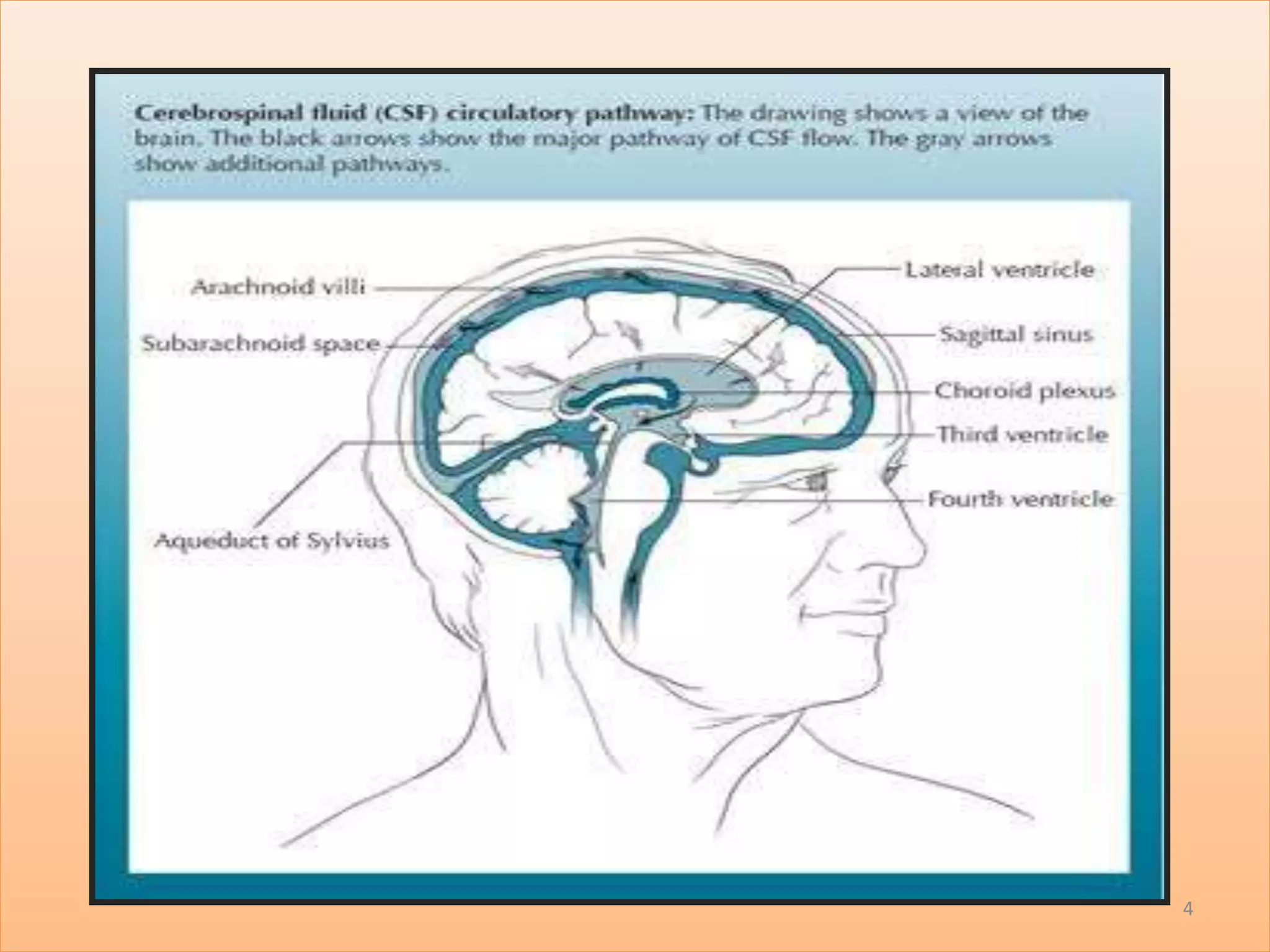 Hydrocephalus disease | PPTX