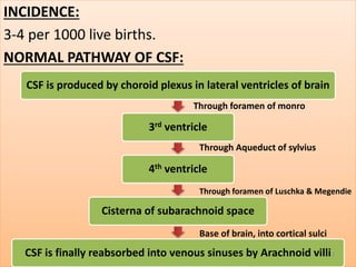Hydrocephalus disease | PPTX