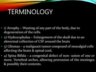 Hydrocephalus | PPTX
