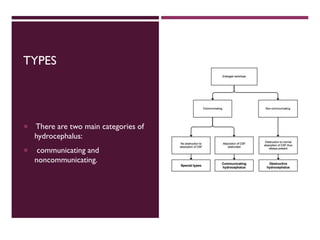 Hydrocephalus | PPT