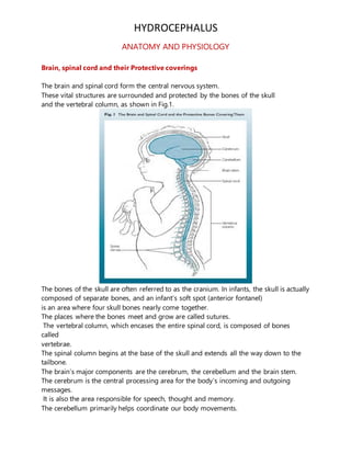 Hydrocephalus | DOCX
