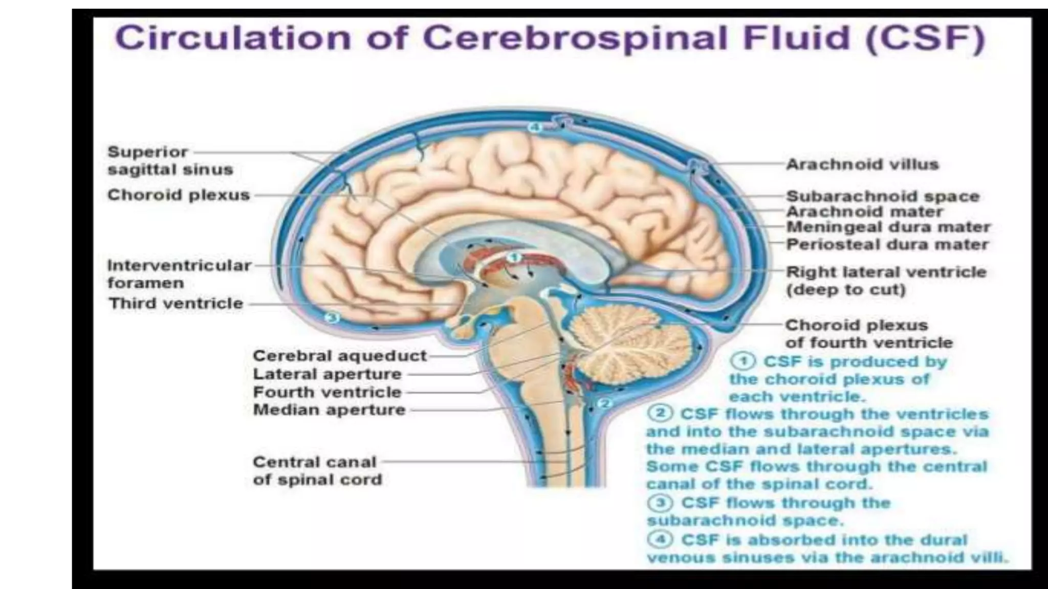 Hydrocephalus in children | PPTX