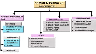 Hydrocephalus | PPTX