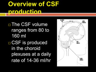 hydrocephalus.ppt