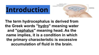 Hydrocephalus .pptx presentation in nursing | PPTX