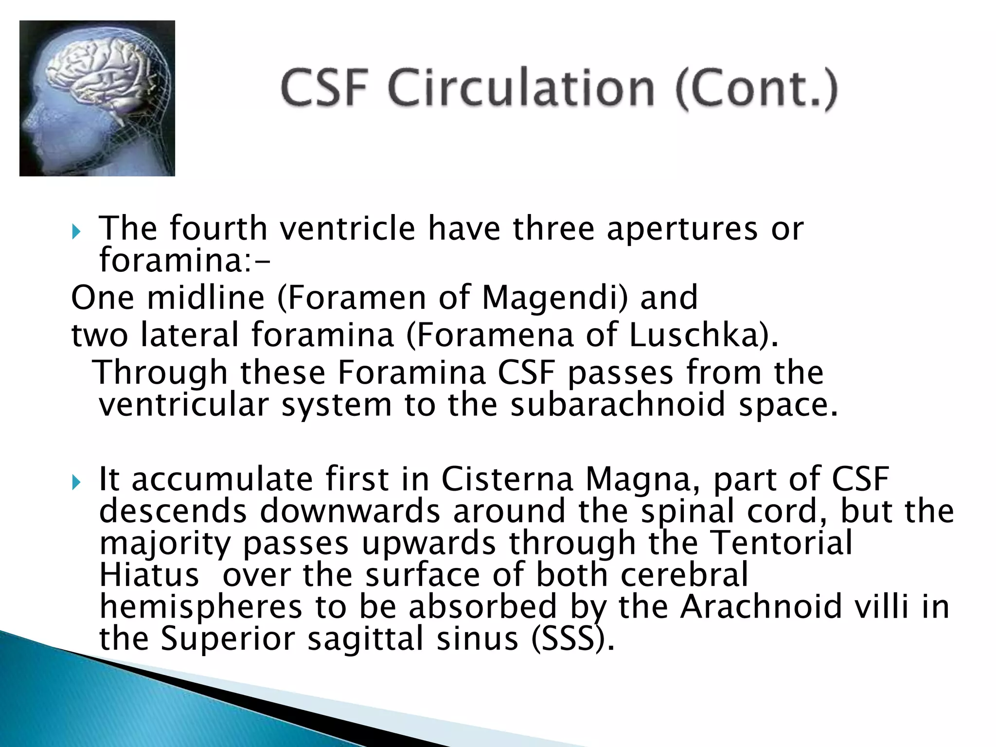 Hydrocephalus - Case Presentation (2).ppt