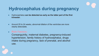 Hydrocephalus in neonates -Marwa Chehadeh.pptx