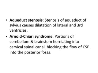 Hydrocephalus | PPT