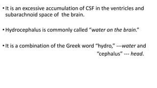 Hydrocephalus | PPTX