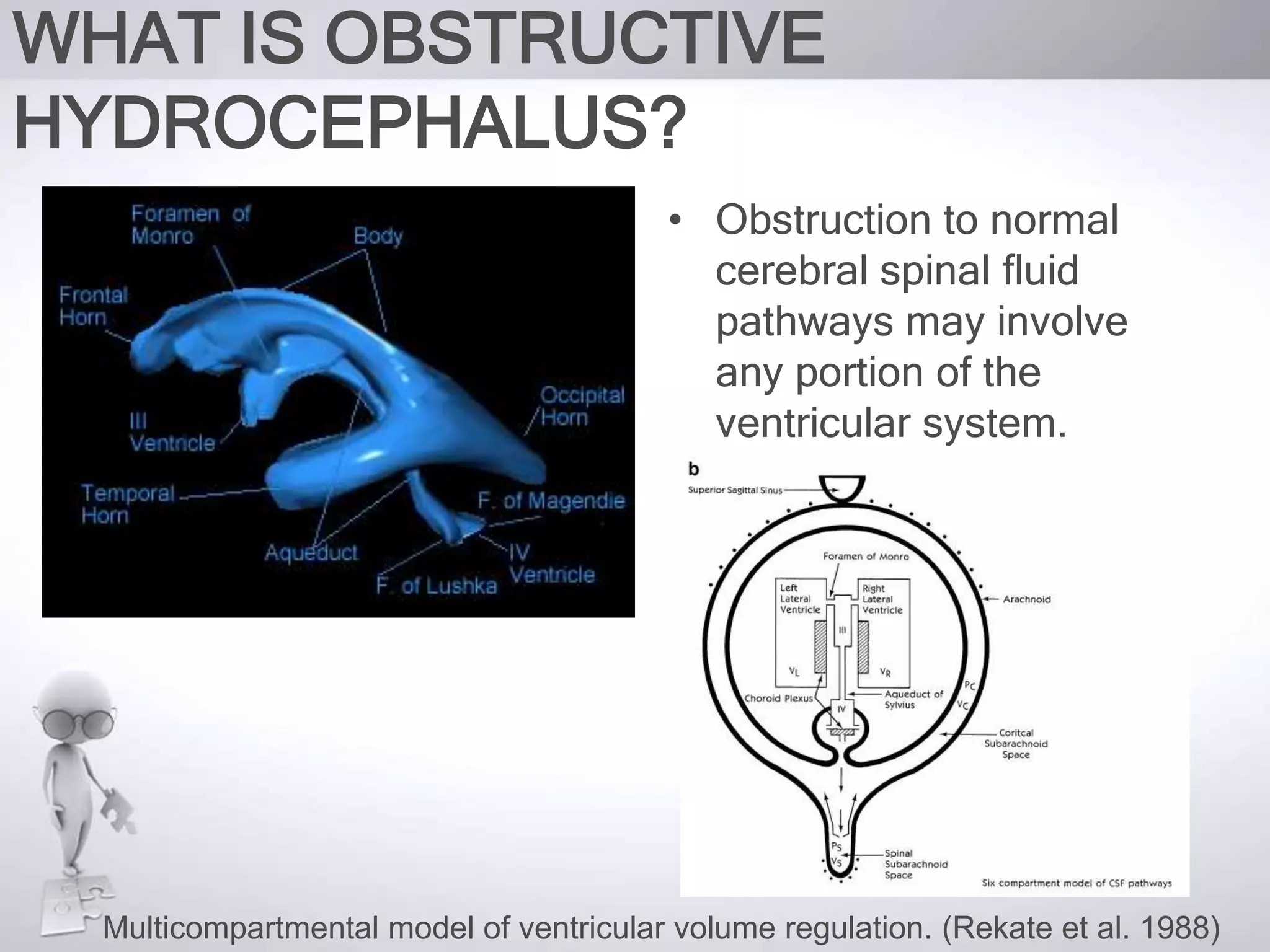 Hydrocephalus and it's causes | PPT