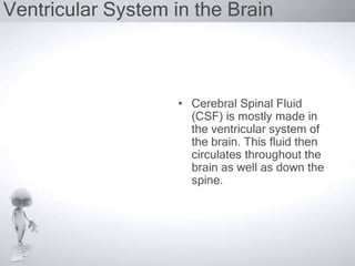 Hydrocephalus and it's causes | PPTX
