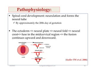 Hydrocephalus and Neural tube defect.pdf