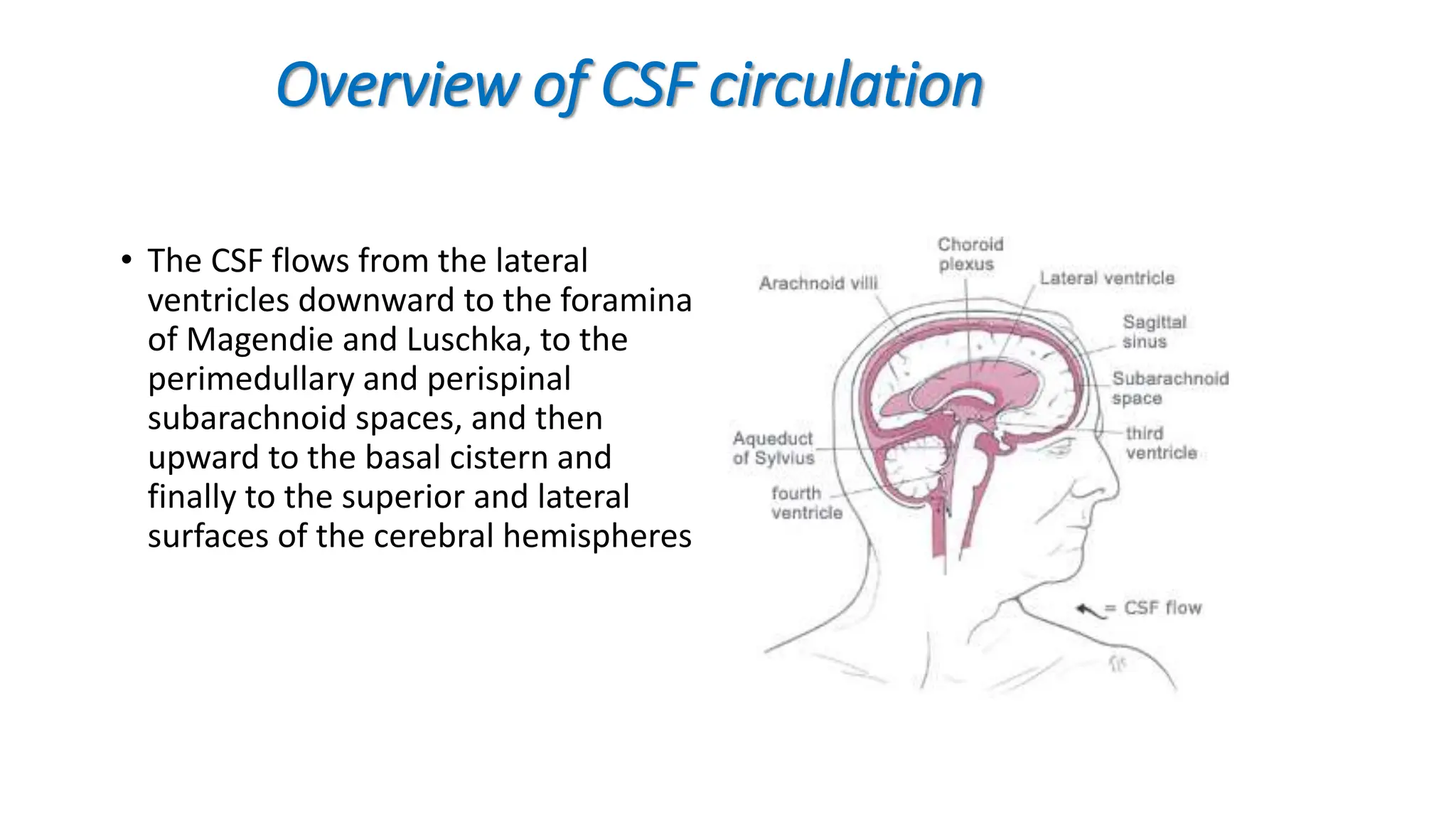 Hydrocephalus and Other Disorders of CSF Circulation.pptx
