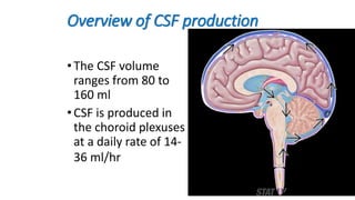 Hydrocephalus and Other Disorders of CSF Circulation.pptx