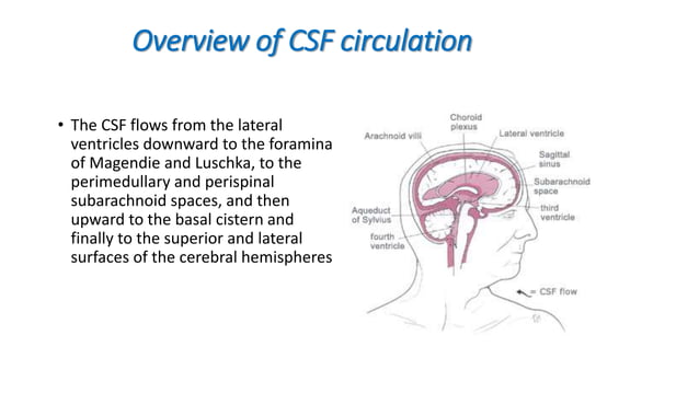 Hydrocephalus and Other Disorders of CSF Circulation.pptx