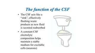 Hydrocephalus and Other Disorders of CSF Circulation.pptx