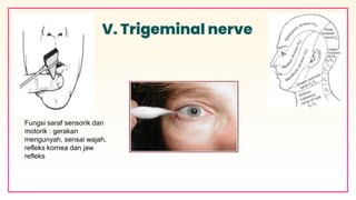Hydrocephalus Clinical Case by Slidesgo.pptx