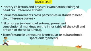 HYDROCEPHALUS b.sc & gnm students ppt.pptx
