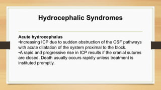 Comprehensive Overview of Hydrocephalus: Pathophysiology, Diagnosis ...