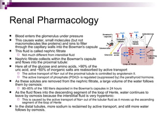 Hydrochlorthiazide | PPT