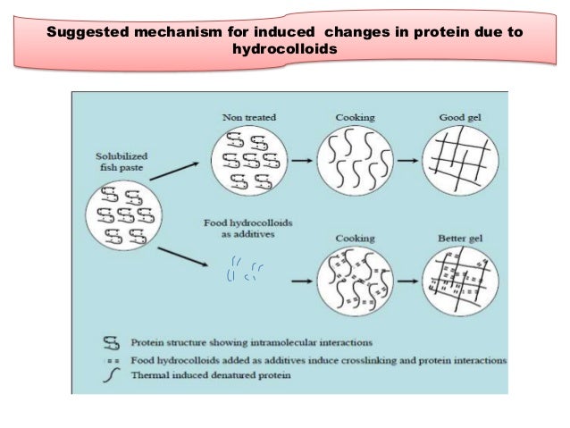 Hydrocolloid for meat and fish