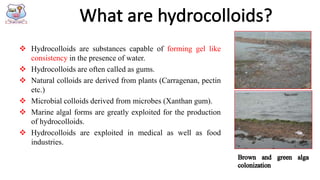 Hydrocolloids | PPTX