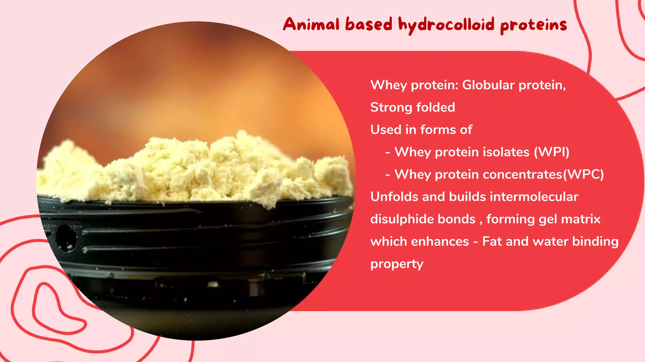 Hydrocolloids in Meat.pptx