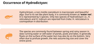hydrocution The Water Net Alga coenobium | PPTX