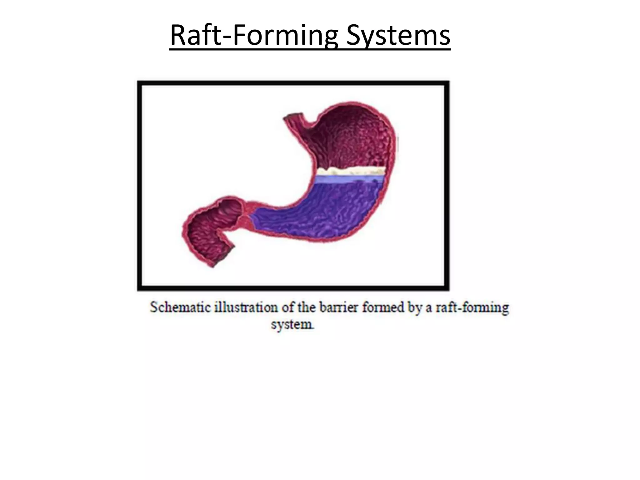 Hydrodynamically balanced systems | PPTX