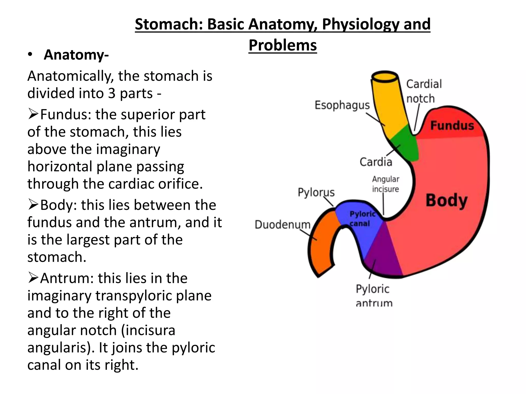 Hydrodynamically balanced systems | PPTX