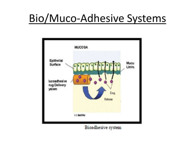 Hydrodynamically balanced systems | PPTX | Digestive Disorders ...