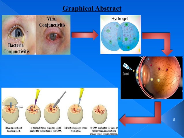 Research Based Presentation on- Novel Hydrogel-Based Ocular Drug ...