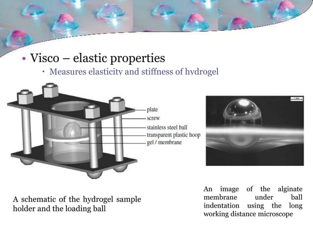 Hydrogel characterization | PPTX