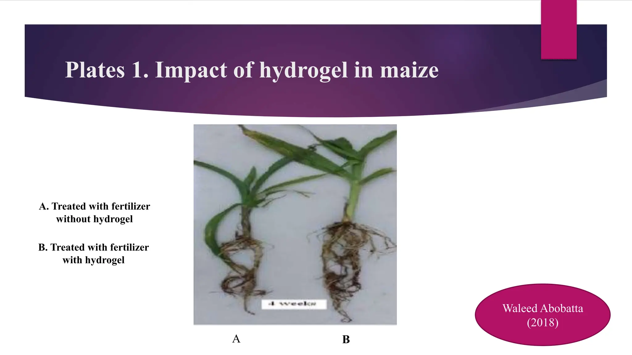 Significance of Hydrogel in Agriculture.pptx