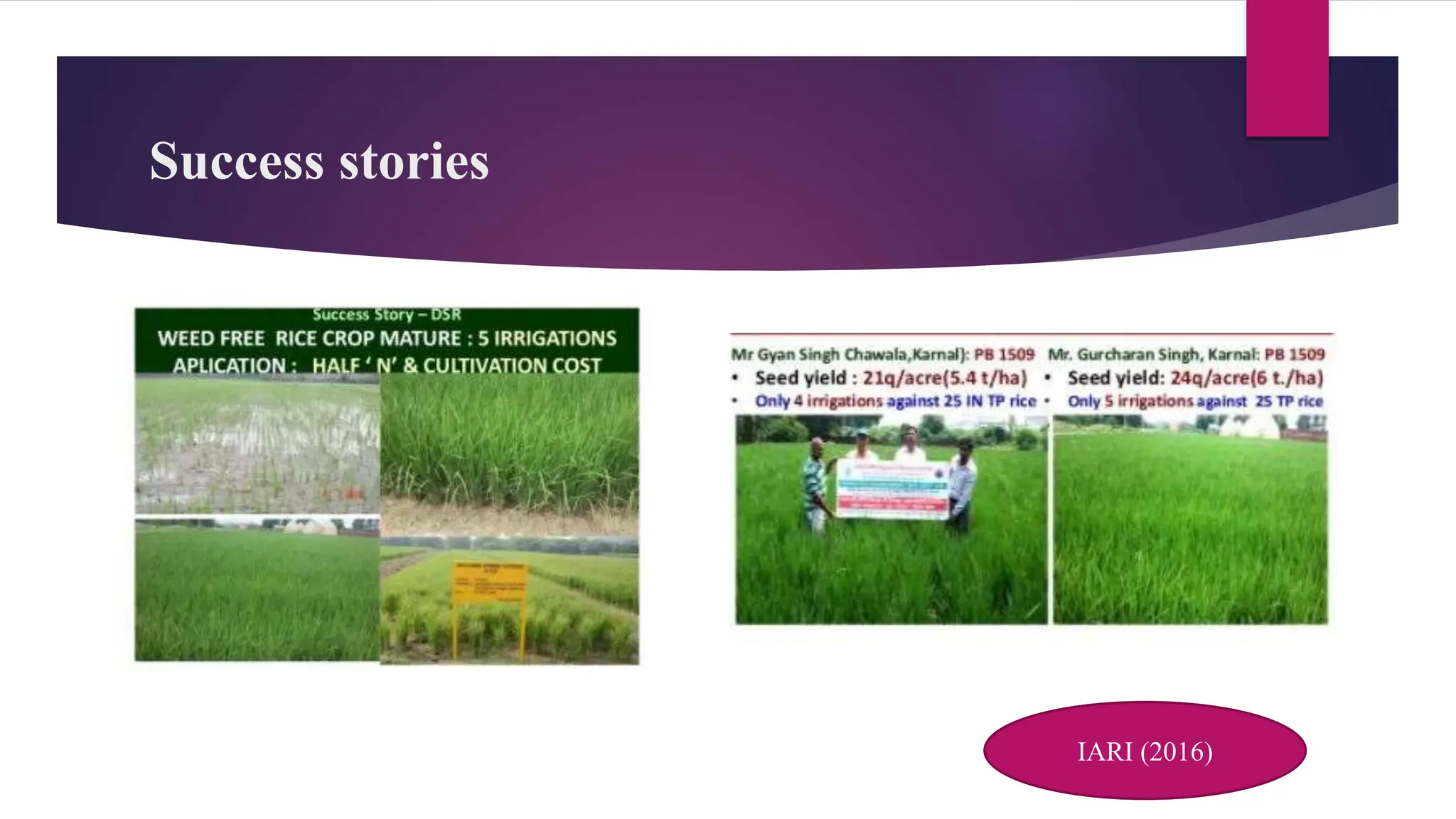 Significance of Hydrogel in Agriculture.pptx