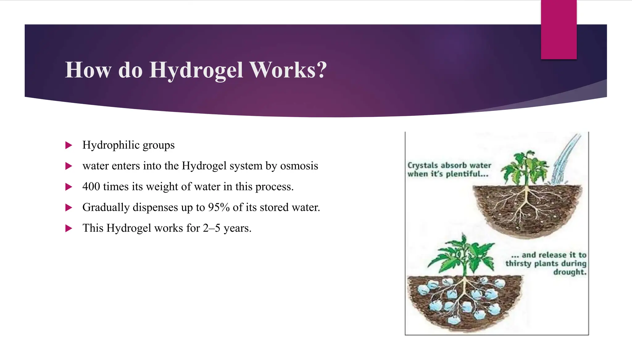Significance of Hydrogel in Agriculture.pptx