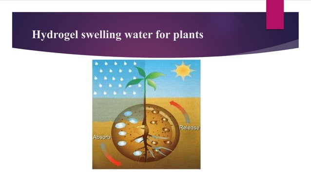 Significance of Hydrogel in Agriculture.pptx | Agriculture | Industries