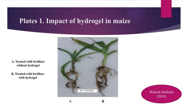 Significance of Hydrogel in Agriculture.pptx | Agriculture | Industries