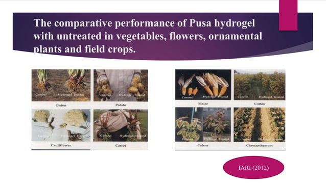 Significance of Hydrogel in Agriculture.pptx | Agriculture | Industries