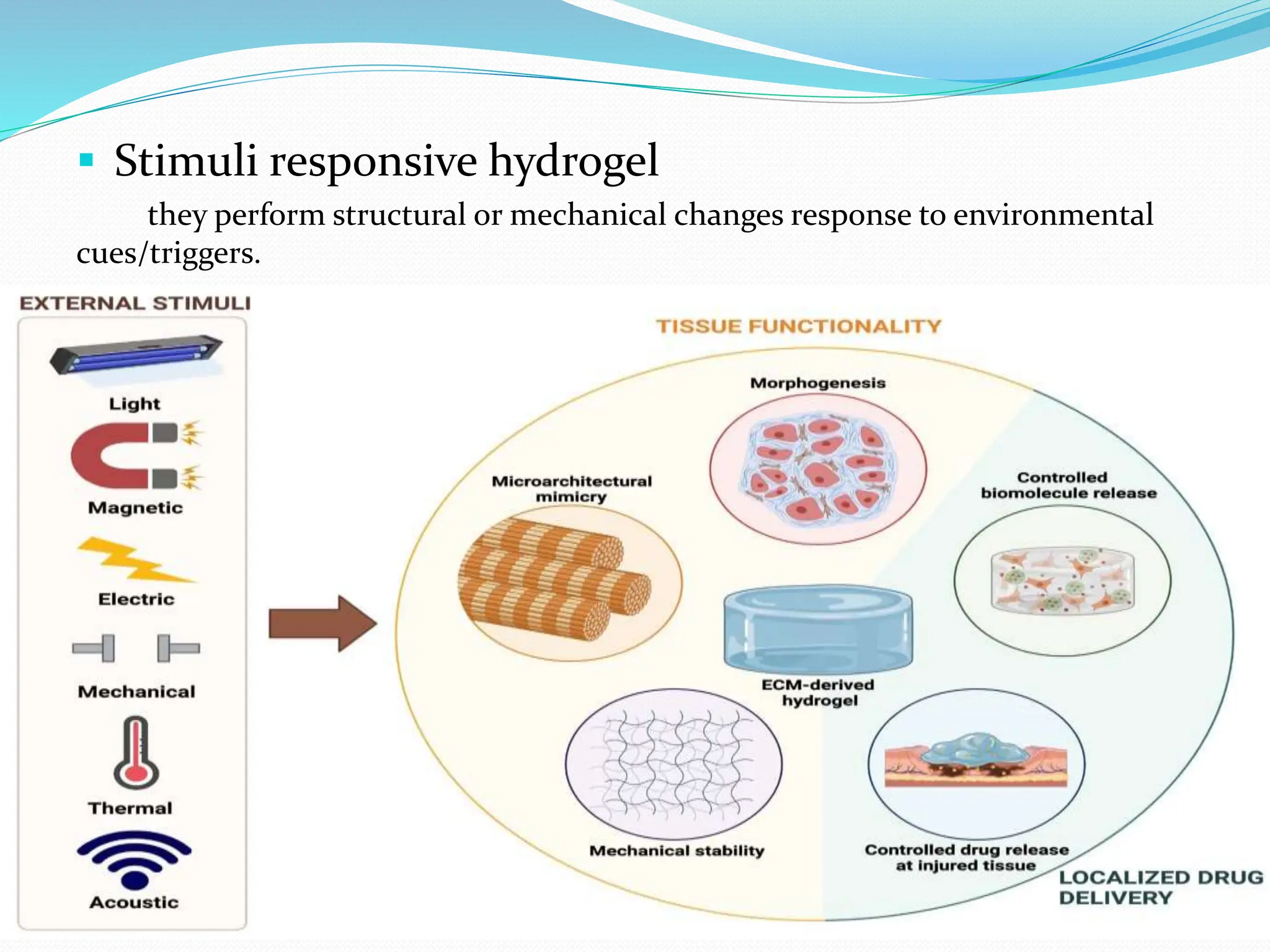hydrogels[1].pptx ppt of hydrogels on hydrongens | PPTX