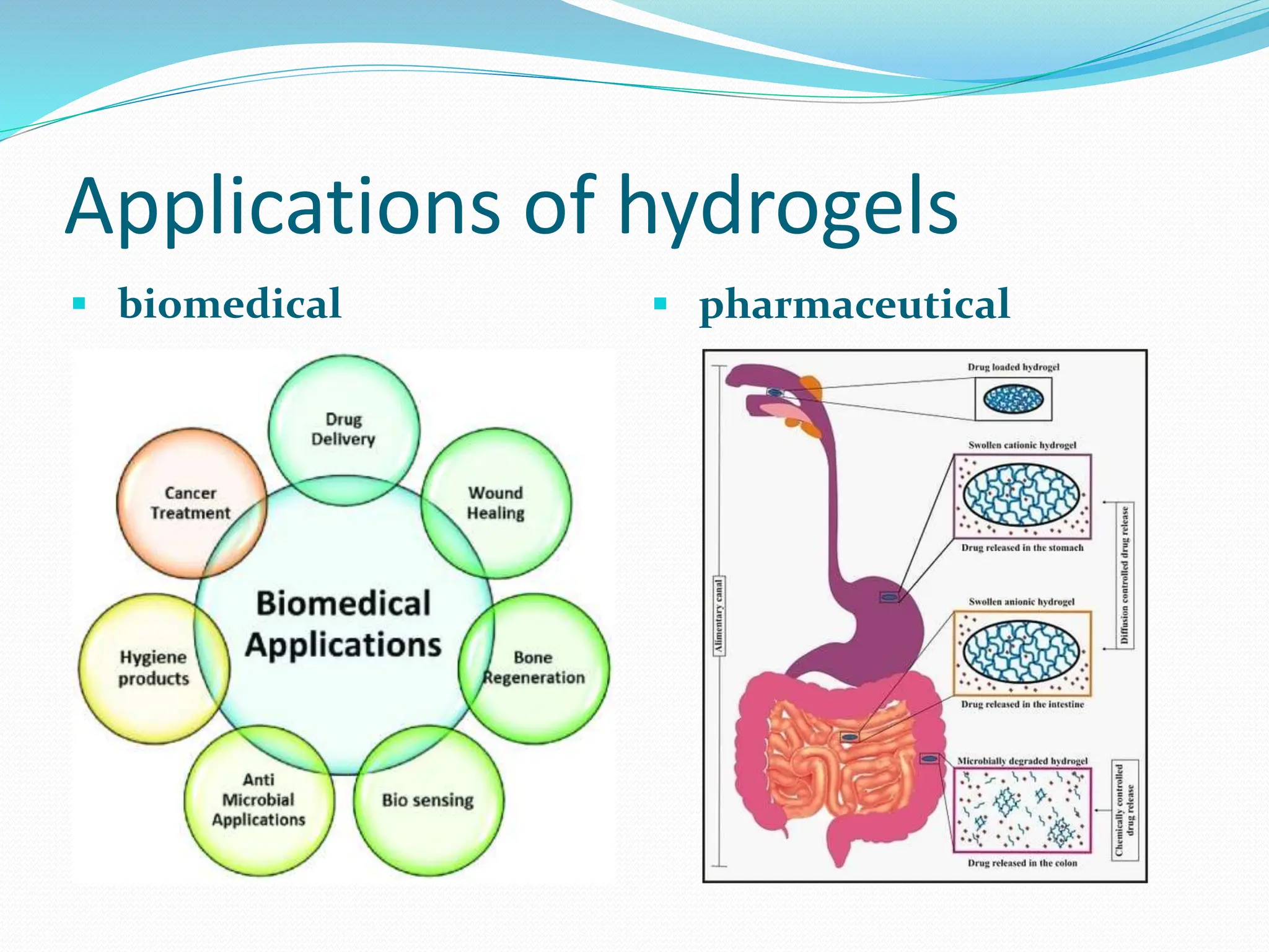 hydrogels[1].pptx ppt of hydrogels on hydrongens | PPTX