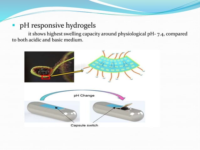 hydrogels[1].pptx ppt of hydrogels on hydrongens | PPTX | Chemistry ...