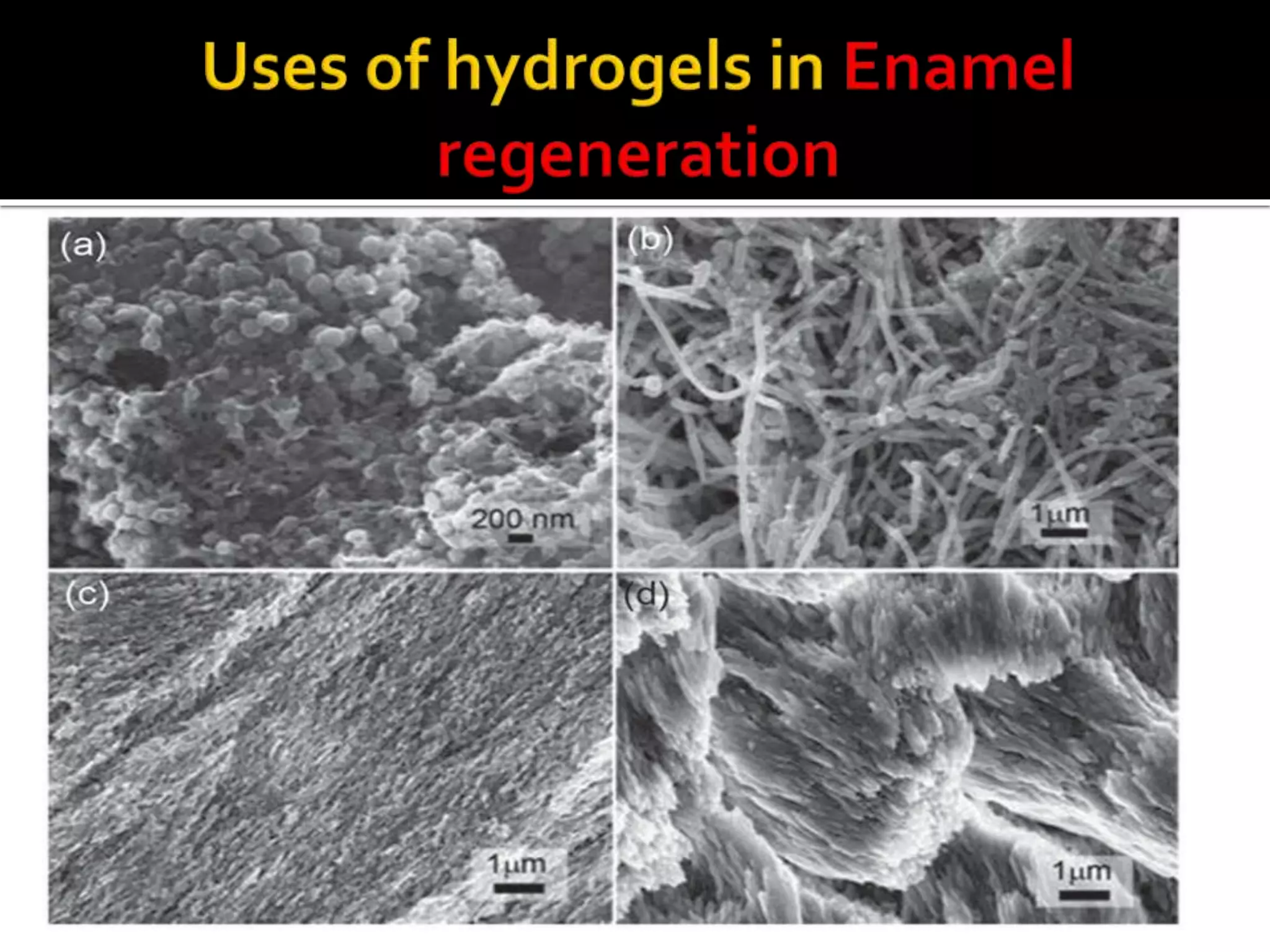 Hydrogels the future dental materials | PPTX
