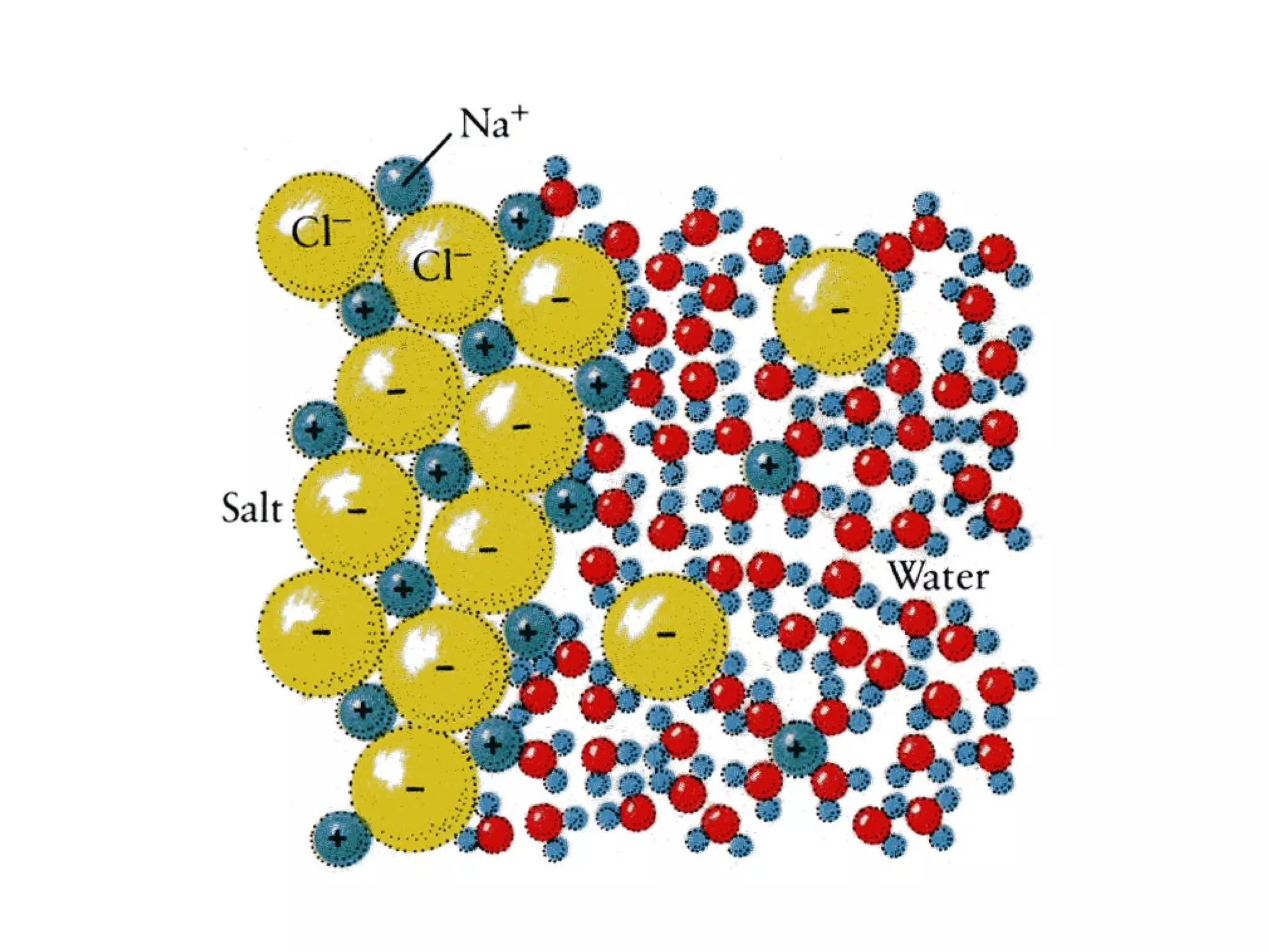 Water, Hydrogen Bonds, and the Hydrologic Cycle | PPT